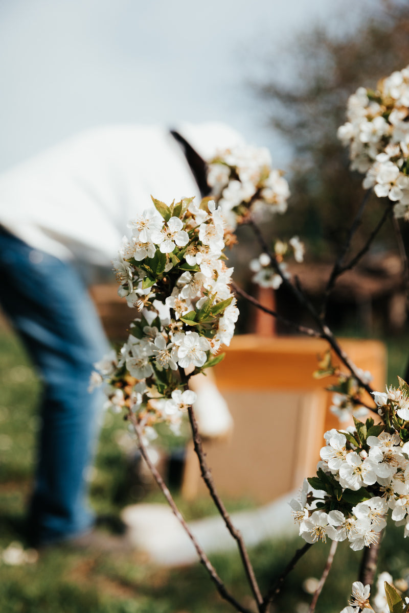 Unique, Sustainable, Quality Products at The Bee Works – Beeworks.com