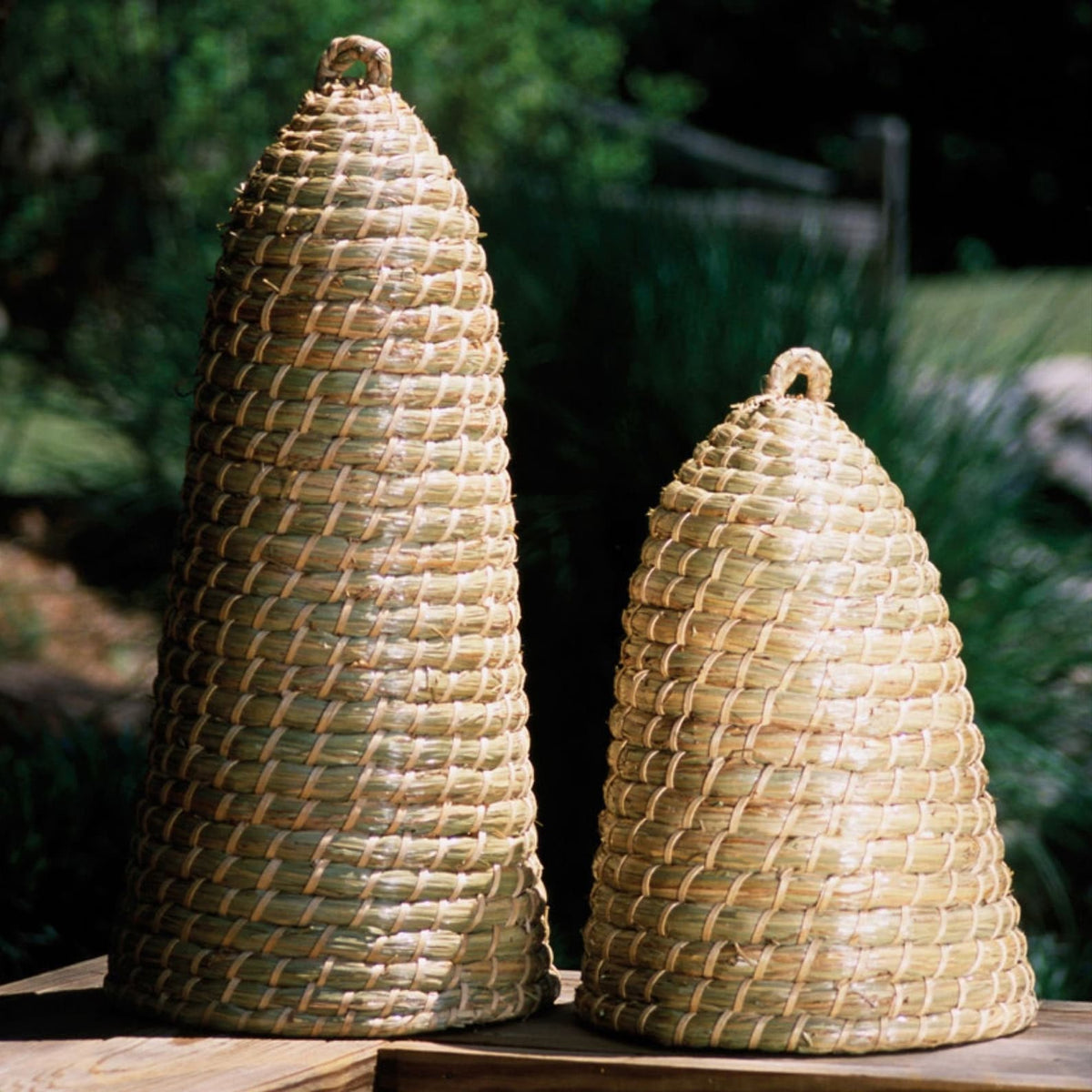 Exploring Beekeeping History: The Story of Skeps – Beeworks.com